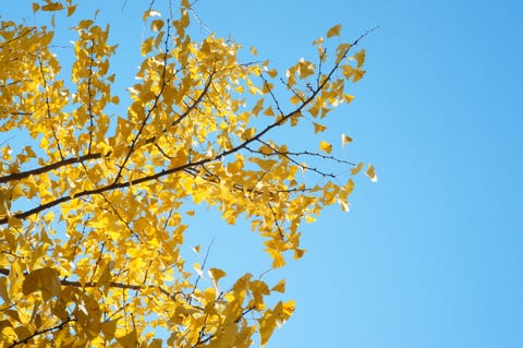 【唐綺陽星座運勢週報11/3-11/9】射手感情相信直覺，天秤工作責任重大 | ELLE | LINE購物